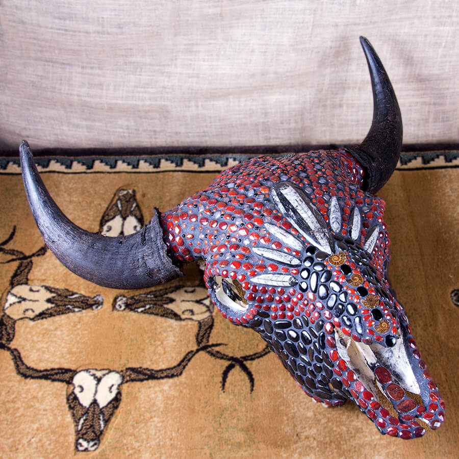 Bull bison skull with with orthoceras fossils – Hen and Chick